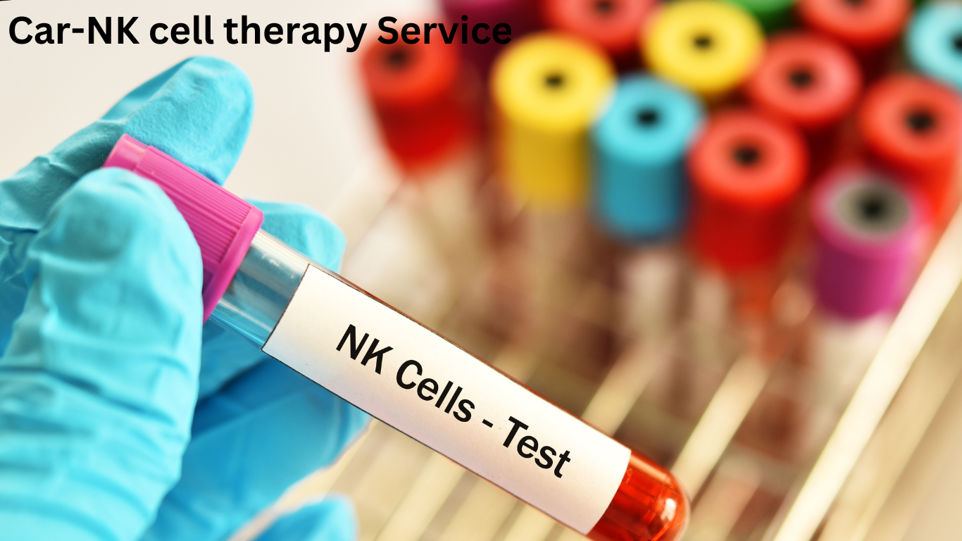 CAR-NK Cell Therapies Service